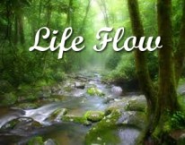 Lifeflow Levels and Tracks – Consciousness Junkie