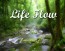 Lifeflow Levels and Tracks – Consciousness Junkie